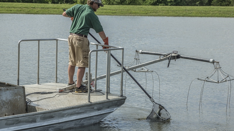 Spring has Sprung: Pond Management Tips to Prep for an Epic Fishing ...