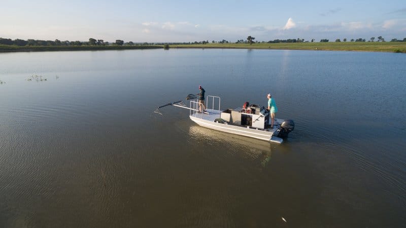 Prepping your pond for the season: what steps should you be taking now ...