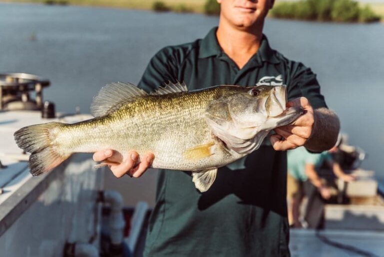 Spring has Sprung: Pond Management Tips to Prep for an Epic Fishing ...